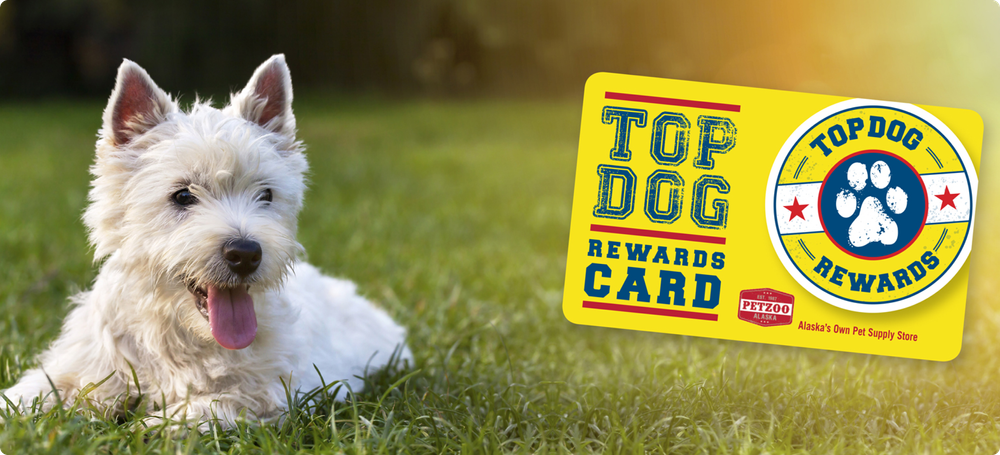 How to Choose the Perfect Name for your Loyalty Program